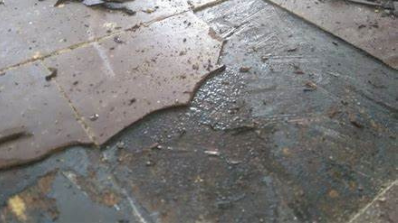 what is DPM? meaning in construction and its purpose - Build Your House ...